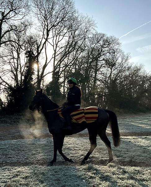 Ruby Red Racing – Racehorse Syndicate